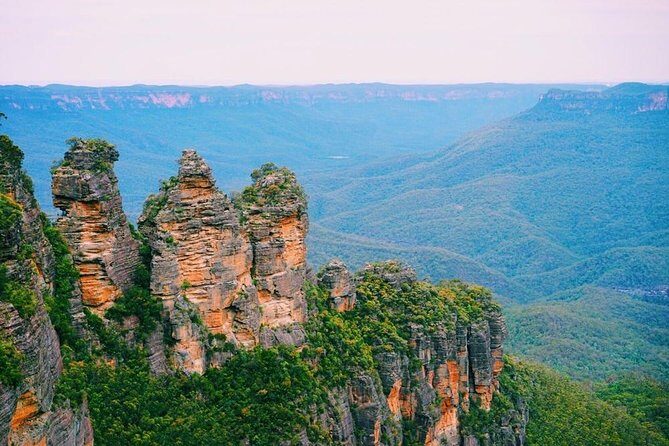 Blue Mountains | Koalas, Kangaroos & Bondi Beach Private Tour - Final Thoughts