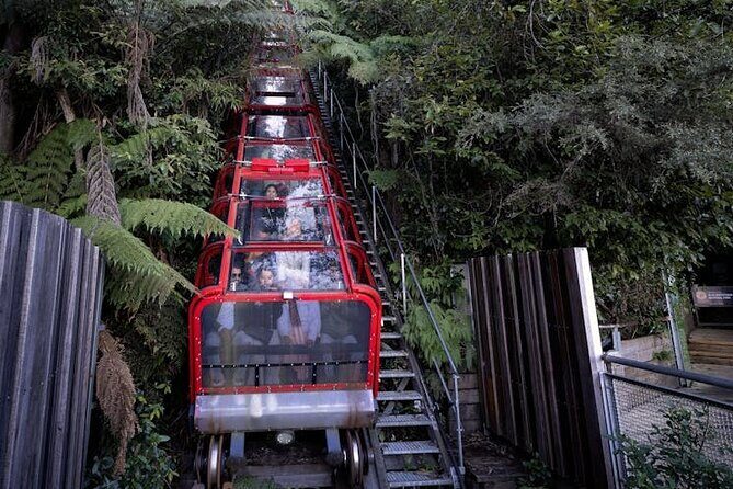 Blue Mountains Luxury Tour Experience - Suitable for Who?
