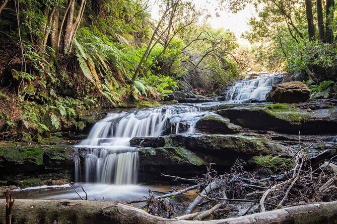 Blue Mountains Luxury Tour from Sydney - An In-Depth Look at the Blue Mountains Private Tour