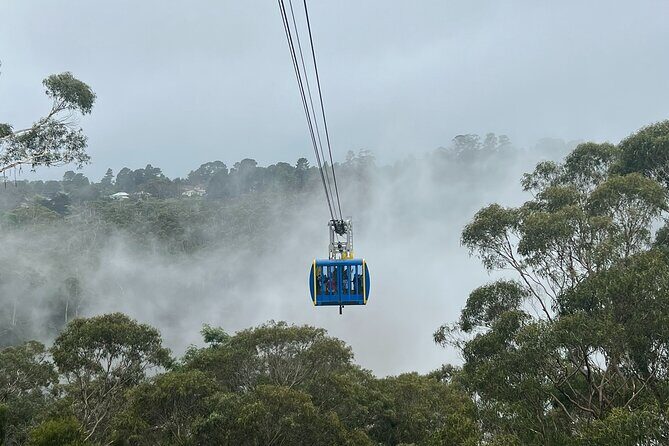 Blue Mountains Main Attraction Private Daily Group Tours - The Sum Up