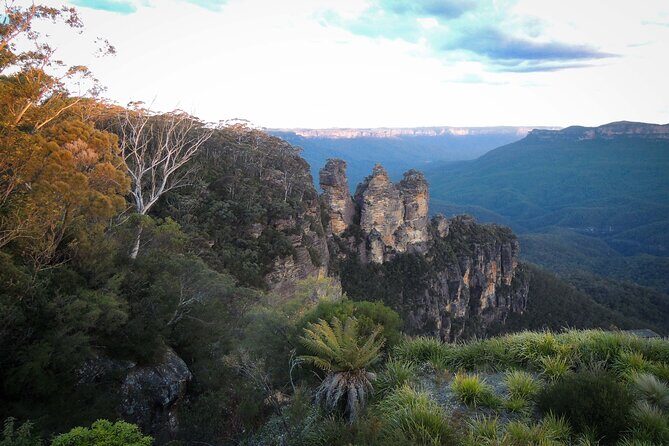 Blue Mountains Private Charter - Why Choose the Blue Mountains Private Charter?