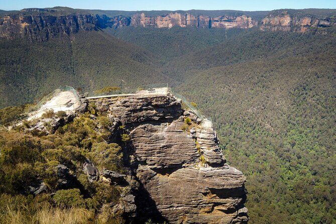 Blue Mountains Private Charter - The Sum Up