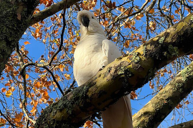 Blue Mountains Private Group Day Tour from Sydney - Key Points