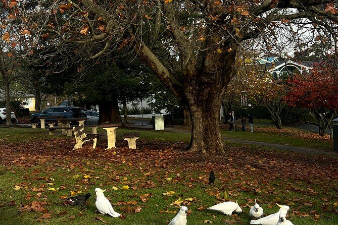 Blue Mountains Private Group Day Tour from Sydney - Who Would Love This Tour?