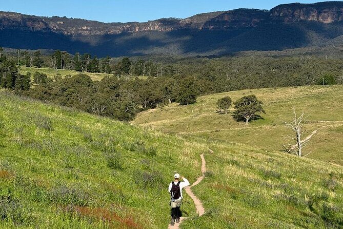 Blue Mountains Private Hike Tour -Winery drinks - Exploring the Blue Mountains Private Hike Tour - A Balance of Nature, Comfort, and Authentic Experiences