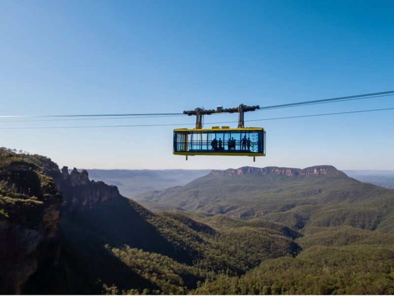Blue Mountains: Private Scenic Tour with Optional Stops - A Deep Dive into the Experience