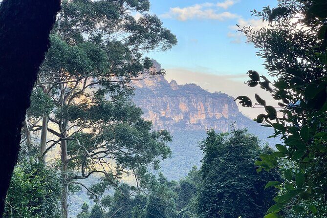 Blue Mountains - Private Tour 1-7 People ex Sydney - Afternoon Views from Lincoln’s Rock