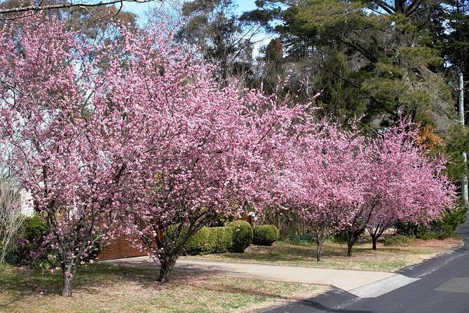 Blue Mountains Private Tour - Who Will Love This Tour?
