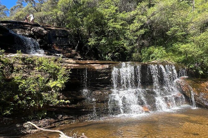 Blue Mountains Private Tour & Hidden Gems, Pick up & Drop off - Who Will Enjoy This Tour?