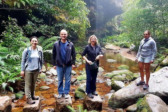 Blue Mountains Private Tour including Wildlife Park - An Honest Look at the Blue Mountains Private Tour