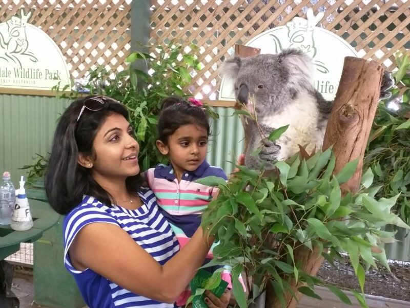 Blue Mountains private tour with Featherdale Wildlife Park - Getting to Know the Tour