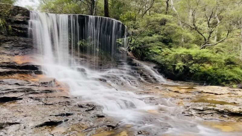 Blue Mountains private tour with Featherdale Wildlife Park - Exploring Leura: A Mountain Village Charm