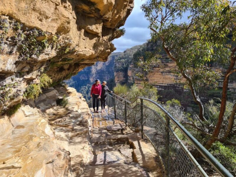 Blue Mountains private tour with Featherdale Wildlife Park - Who Will Love This Tour?