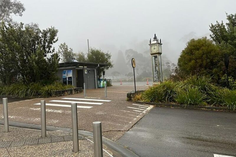 Blue Mountains: Private Tour with Wildlife and River Cruise - What We Loved & What Could Be Better