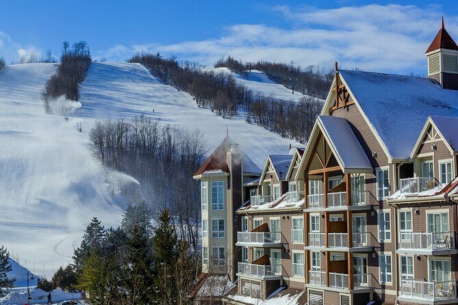 Blue Mountains Shuttle from Toronto  Village or Scenic Caves - Key Points