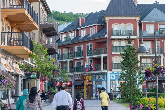 Blue Mountains Shuttle from Toronto  Village or Scenic Caves - The Itinerary in Detail