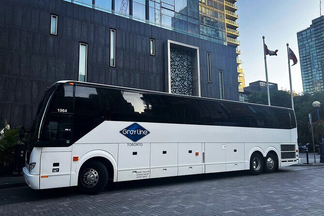 Blue Mountains Shuttle from Toronto  Village or Scenic Caves - Authentic Experiences and Traveler Tips