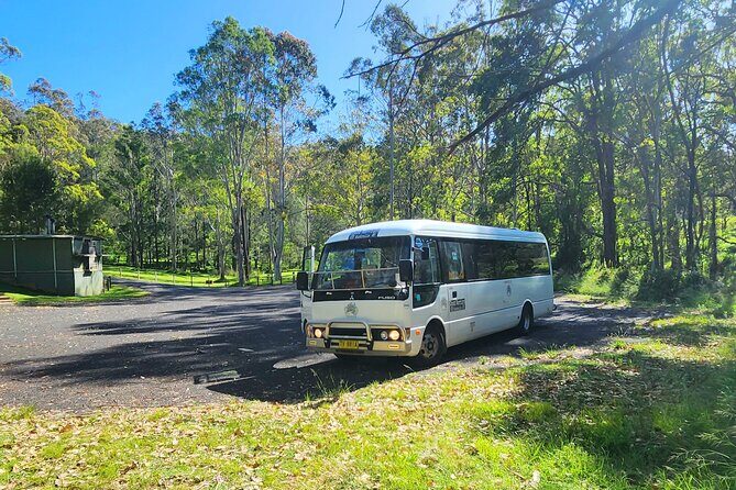 Blue Mountains Small Group Tour with Waterfall Walk & Fresh Lunch - Final Thoughts: Is This Tour Right for You?