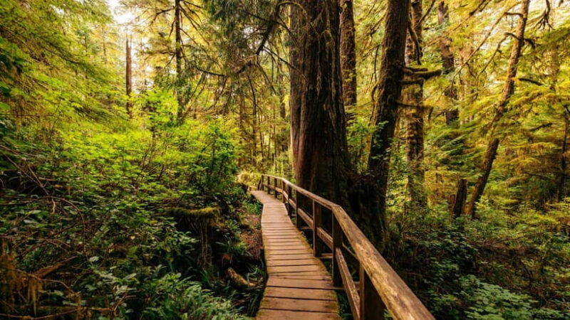Blue Mountains Small Groups Tour From Sydney: Private - Who Should Consider This Tour?