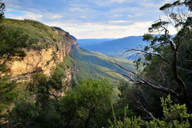 Blue Mountains: Sunset Waterfalls Wildlife Tour From Sydney - Key Points