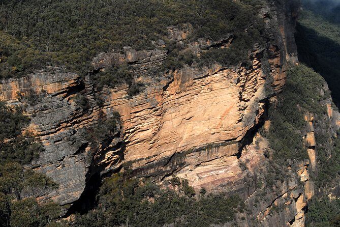 Blue Mountains Tour - Highlights - Exploring the Blue Mountains: An Authentic Half-Day Adventure