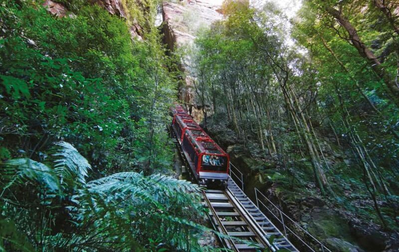 Blue Mountains Tour with Scenic World, Zoo&Bilingual Driver - An Overview of the Tour Experience