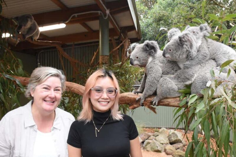 Blue Mountains Tour with Scenic World, Zoo&Bilingual Driver - Transport, Timing, and Group Dynamics