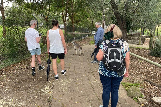 Blue Mountains Wildlife Full-Day Sights and Hiking from Sydney - Whats Included and How That Adds Value