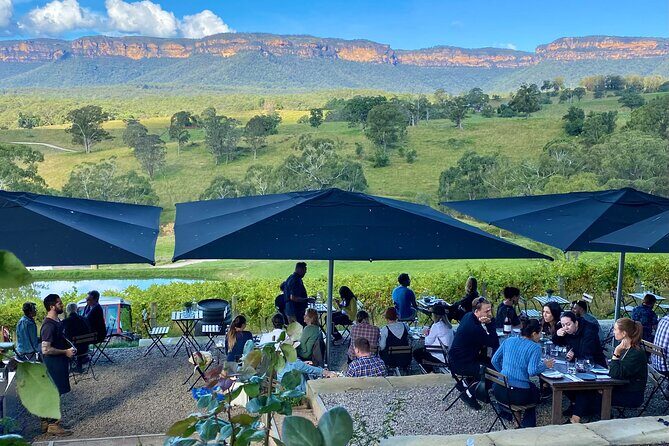 Blue Mountains Winery Tasting Private Tour - Pick up & drop off - Introduction