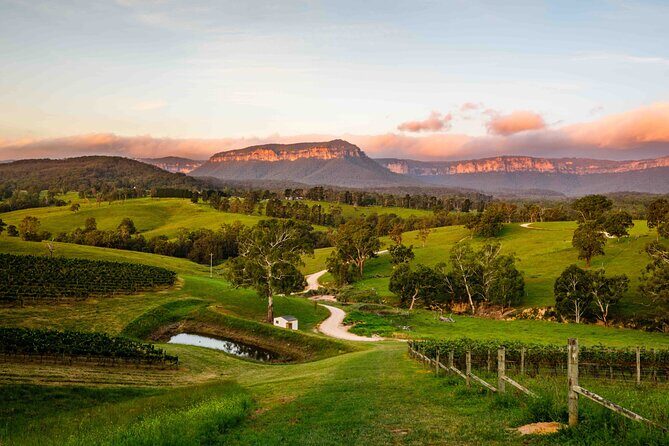 Blue Mountains Winery Tasting Private Tour - Pick up & drop off - Key Points