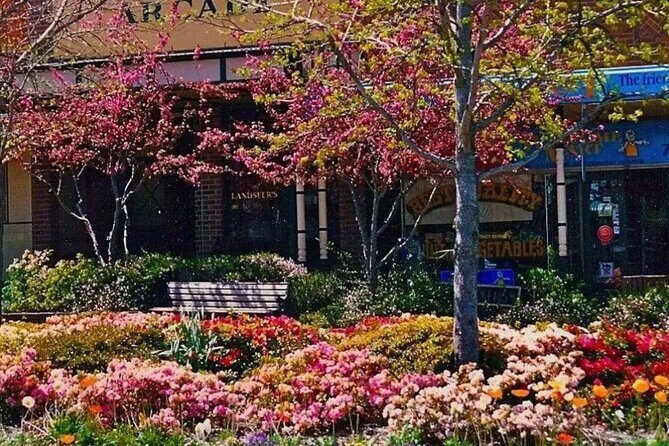Blue Mountains Winery Tasting Private Tour - Pick up & drop off - Who Should Consider This Tour?