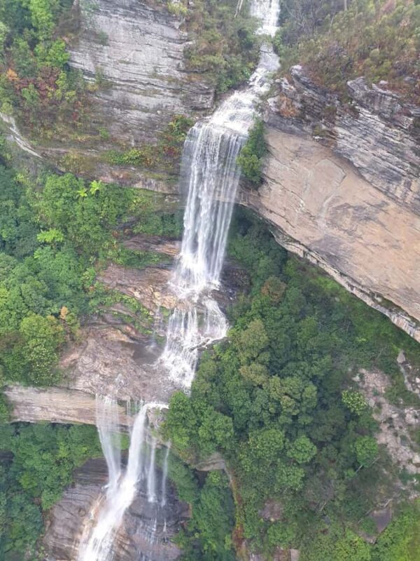 Blue Mountains, Zig Zag Railway and Botanical Gardens Tour - Authentic Experiences and Practical Tips