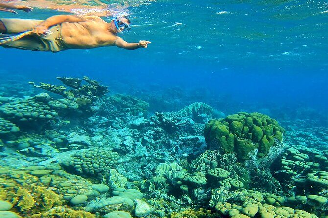 Blue Parrot Snorkel Sail with 4 course lunch or dinner in Aruba - The Itinerary: What to Expect on Your Private Sail