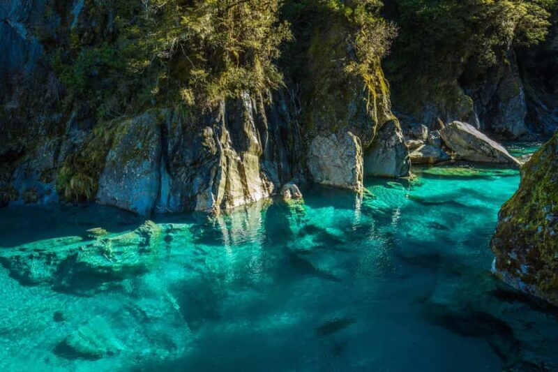 Blue Pools & Makarora Day Walk - Authentic Experiences and What Travelers Say