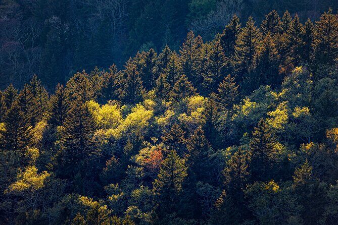 Blue Ridge Parkway (Cherokee to Asheville) Self-Guided Audio Tour - Practical Considerations