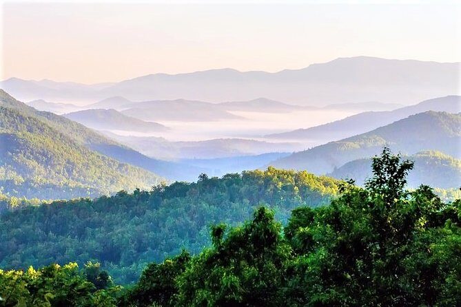 Blue Ridge Parkway Waterfalls Hiking Tour from Asheville - The Experience in Depth