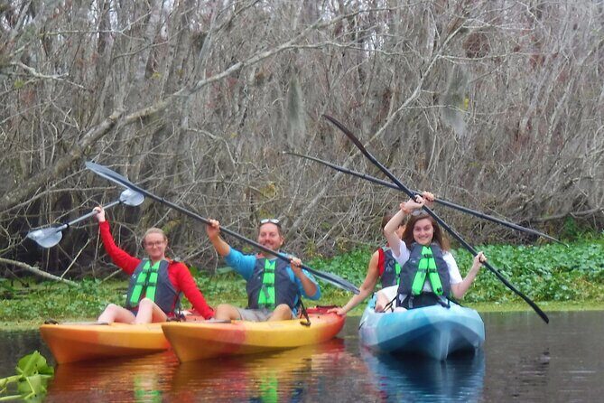 Blue Springs Kayak & Swim Wildlife Adventure - The Sum Up
