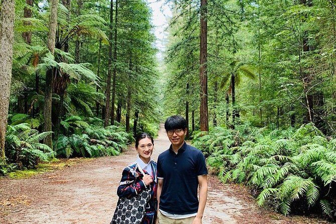 Blue Springs, Redwood Forest, Huka Falls Private tour - A Final Word: Is It Worth It?