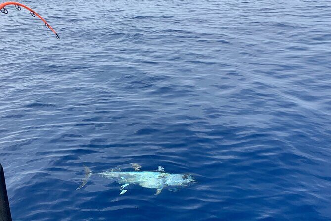 Bluefin Tuna Fishing Charter in the Egadi Islands - Final Thoughts: Is It Worth It?