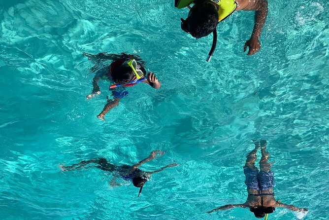 Bluefinn242 Swim with the Turtles in Nassau Bahamas - Key Points