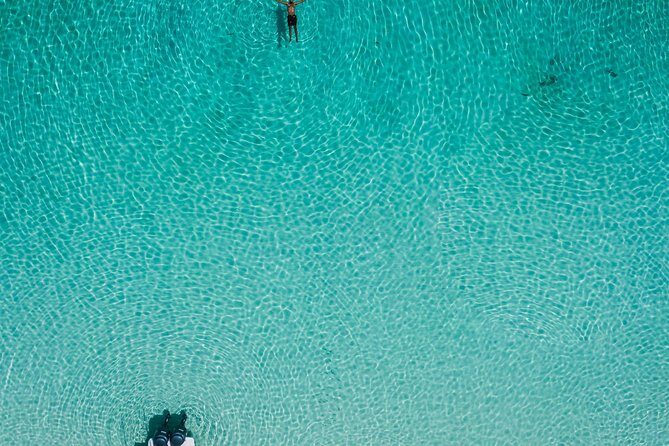 Bluefinn242 Swim with the Turtles in Nassau Bahamas - What to Expect from the Bluefinn242 Turtle Snorkeling Tour