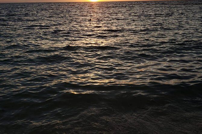 Bluefinn242 Swim with the Turtles in Nassau Bahamas - The Sum Up