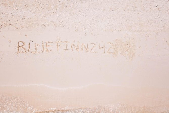 Bluefinn242 Swim with the Turtles in Nassau Bahamas - FAQs