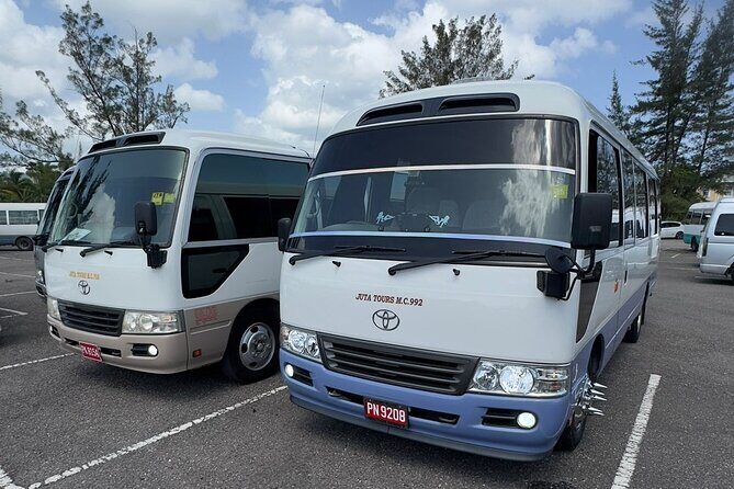 Bluehole, Horseback Riding and Souvenir Shopping from Montego Bay - FAQ