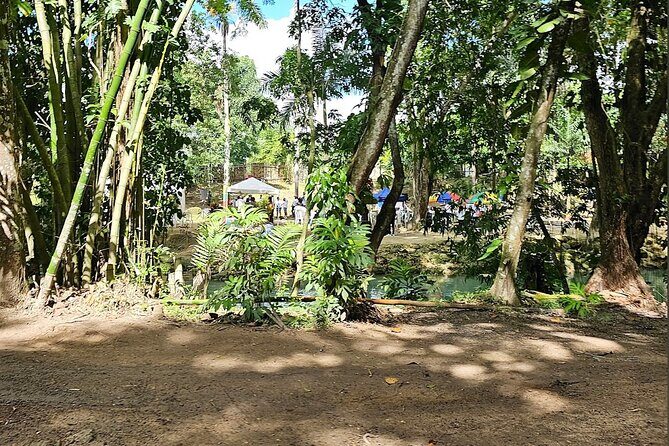 Bluehole secret falls & ATV Experience tour from Montego Bay - Frequently Asked Questions