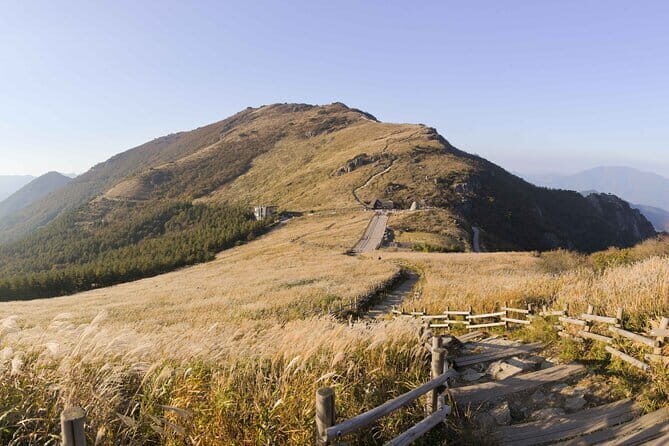 Blueline Park & Silver Grass Field(Ganwoljae) in Yeongnam Alps - Exploring the Beauty of Korea: Blueline Park & Silver Grass Field in Yeongnam Alps