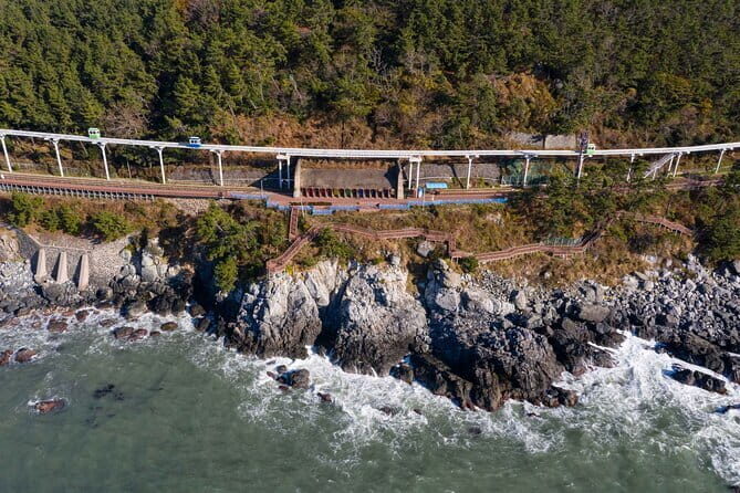 Blueline Park & Silver Grass Field(Ganwoljae) in Yeongnam Alps - Understanding the Value