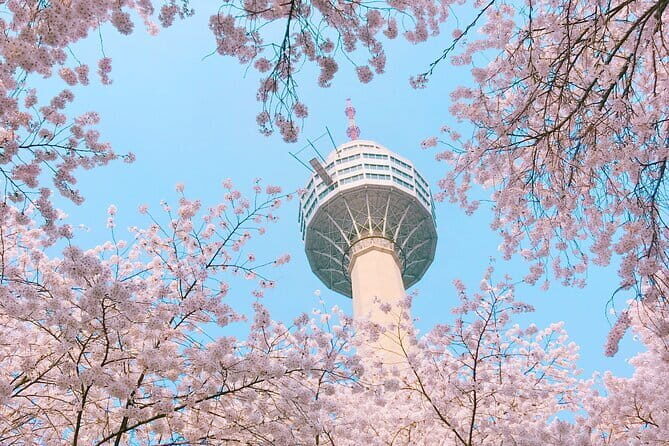 Blueline Park Sky Capsule & Spring Blossom Tour from Busan - A Detailed Look at the Blueline Park Sky Capsule & Spring Blossom Tour from Busan