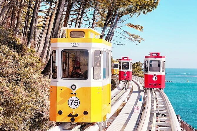 Blueline Park Sky Capsule & Spring Blossom Tour from Busan - Breaking Down the Itinerary – What to Expect