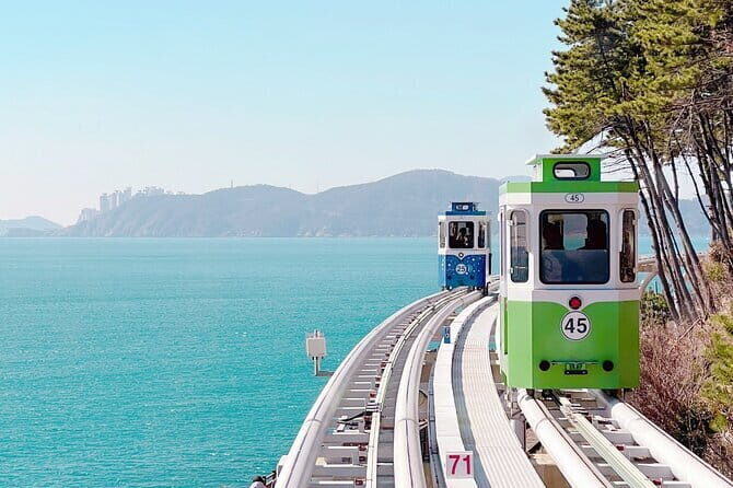 Blueline Park Sky Capsule & Spring Blossom Tour from Busan - The Sum Up